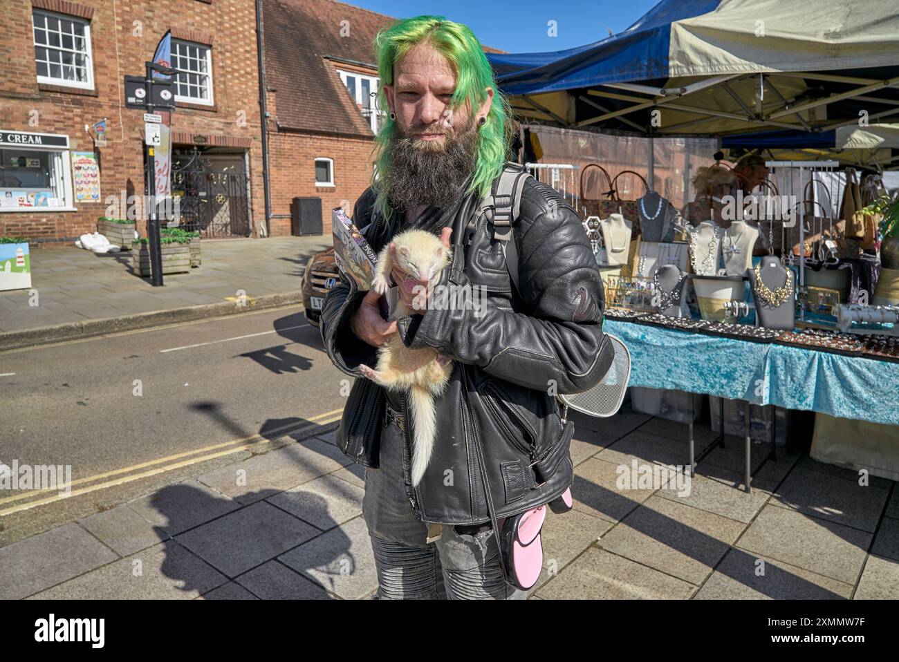 Ferret UK, Man and pet ferret (Mustela putorius furo) at a street ...