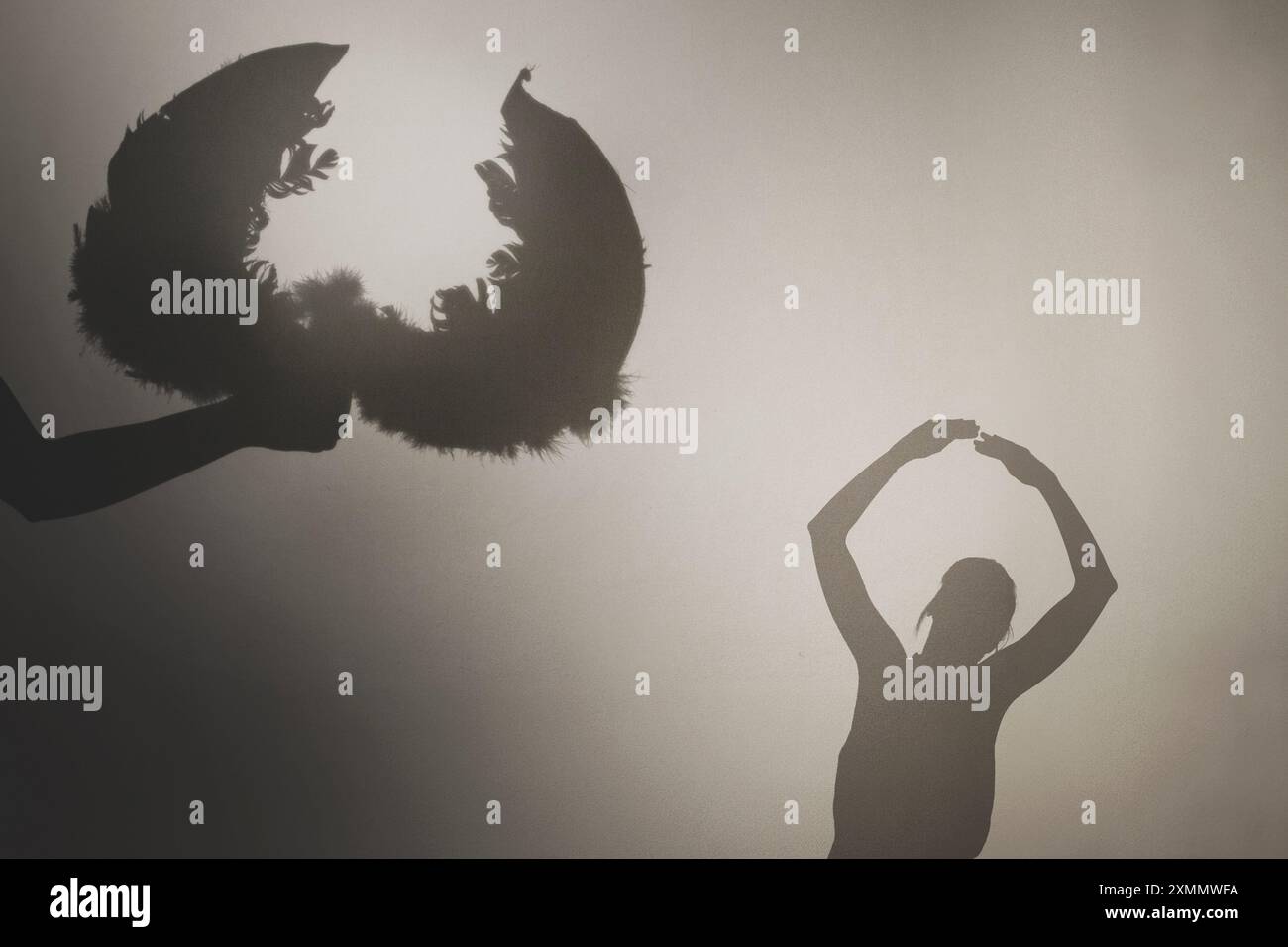 surreal shadows of wings for a ballerina who dreams passionately of ...