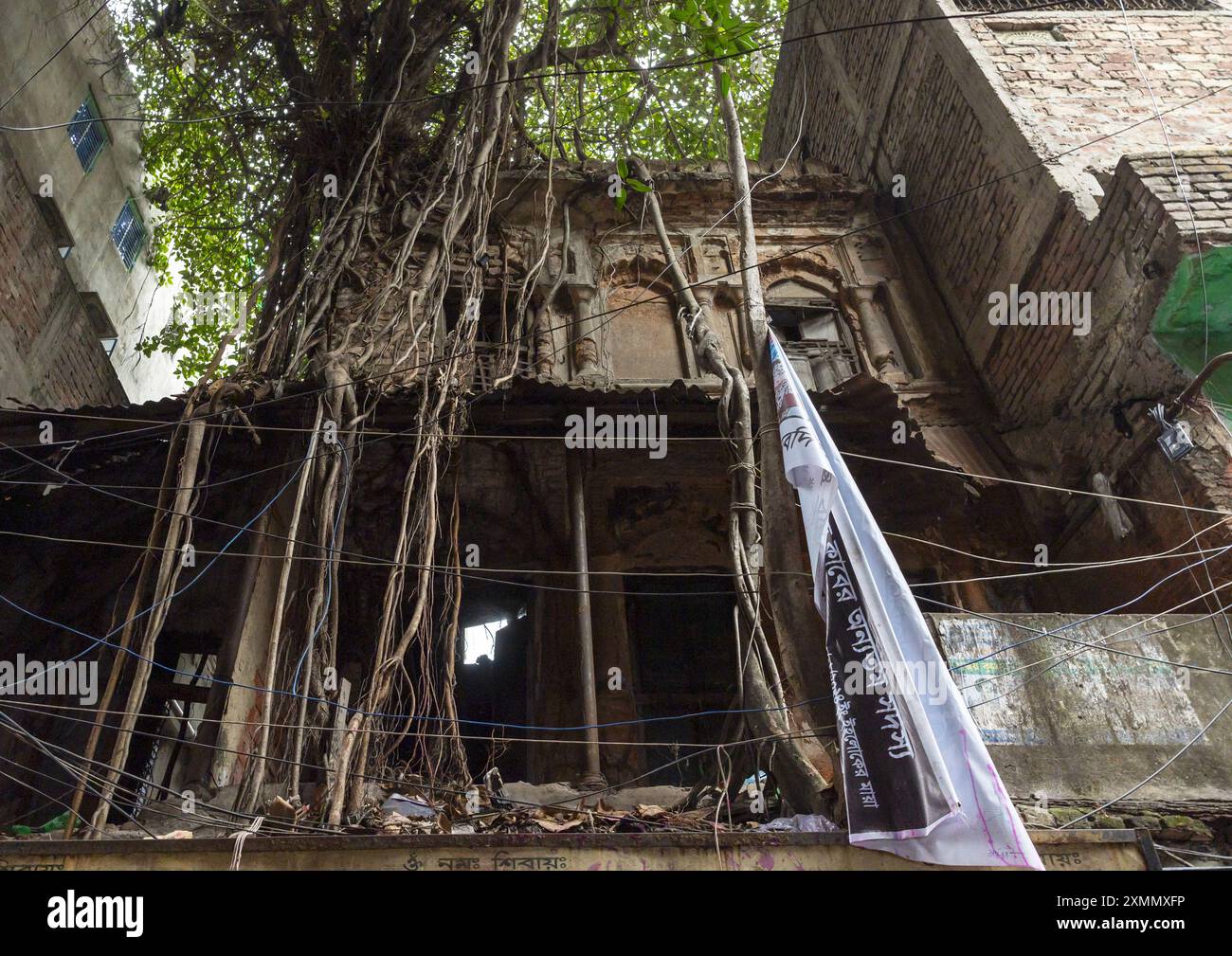 Old heritage house with roots all over the facade, Dhaka Division, Dhaka, Bangladesh Stock Photo ...
