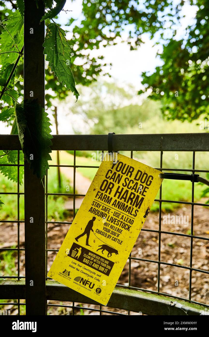 Keep dogs under control on farmland Stock Photo - Alamy