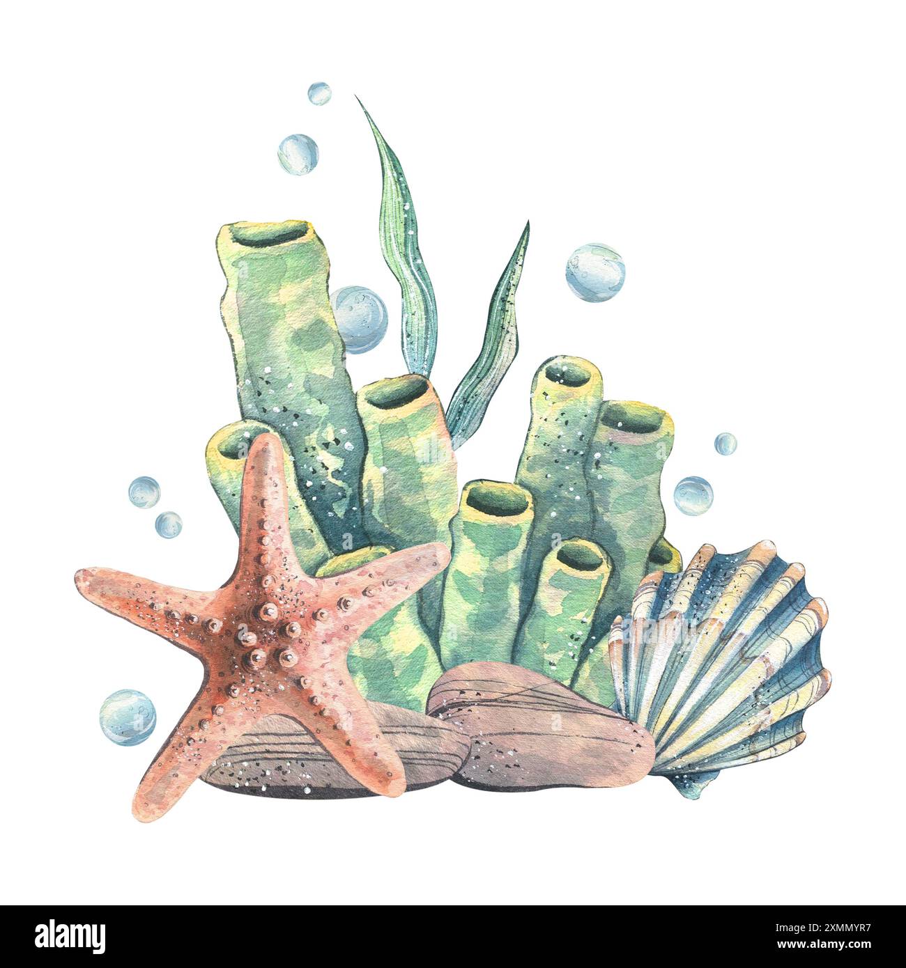 Seashell, starfish, sea sponge, algae, pebbles and bubbles. Hand drawn ...