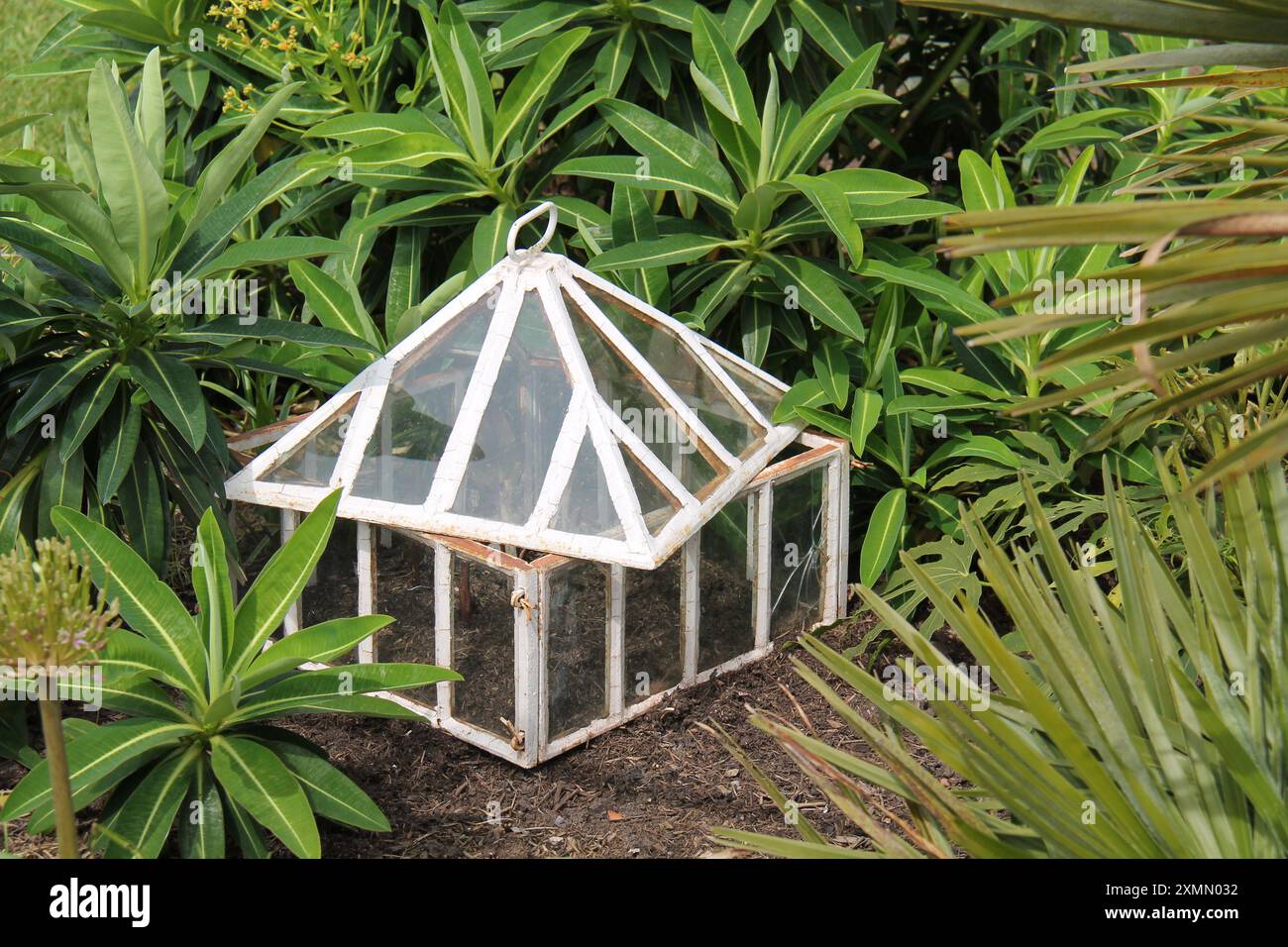 Glass garden cloche hi-res stock photography and images - Alamy