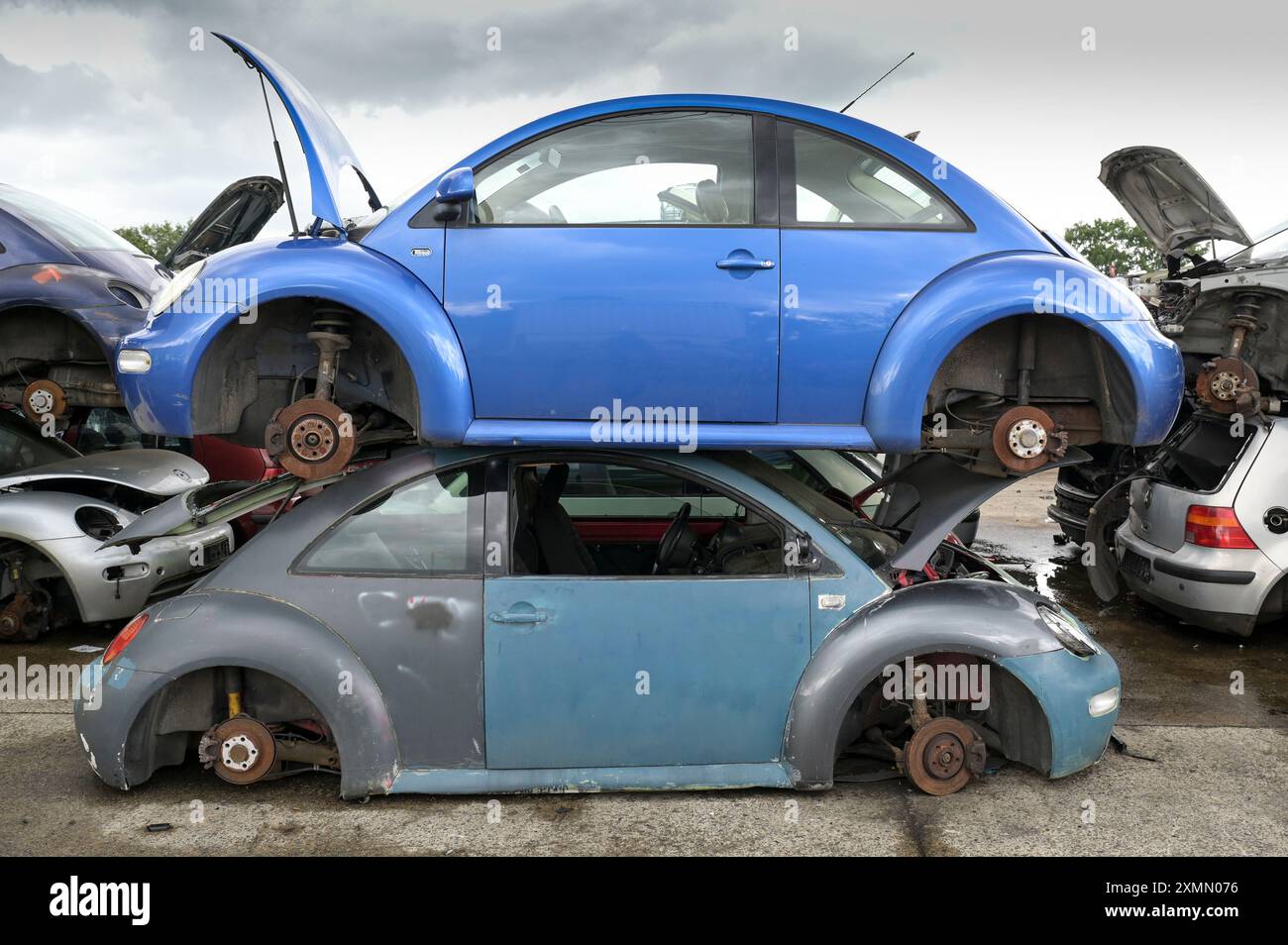 Vw beetle volkswagen car scrapyard hi-res stock photography and images ...