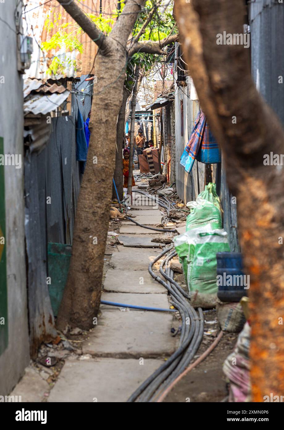 Water pipes in the backstreet of a slum, Dhaka Division, Dhaka ...