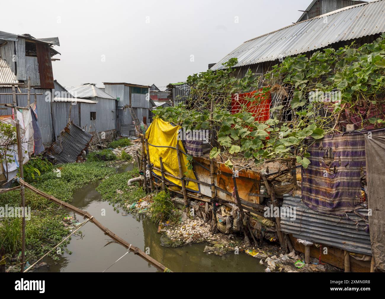 Korail slum garbages, Dhaka Division, Dhaka, Bangladesh Stock Photo - Alamy