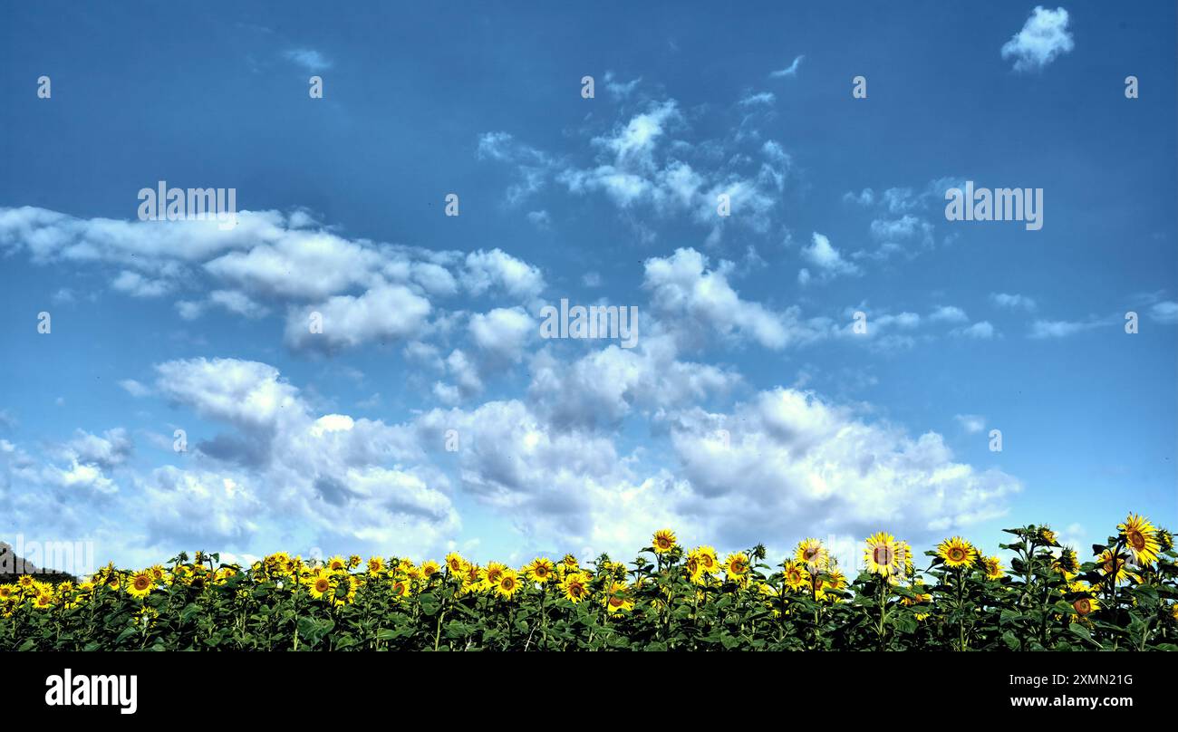Slightly cloudy picturesque hi-res stock photography and images - Alamy