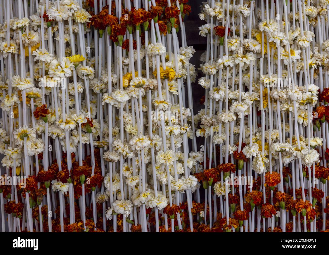 Garland flowers for sale at flower market, Dhaka Division, Dhaka ...