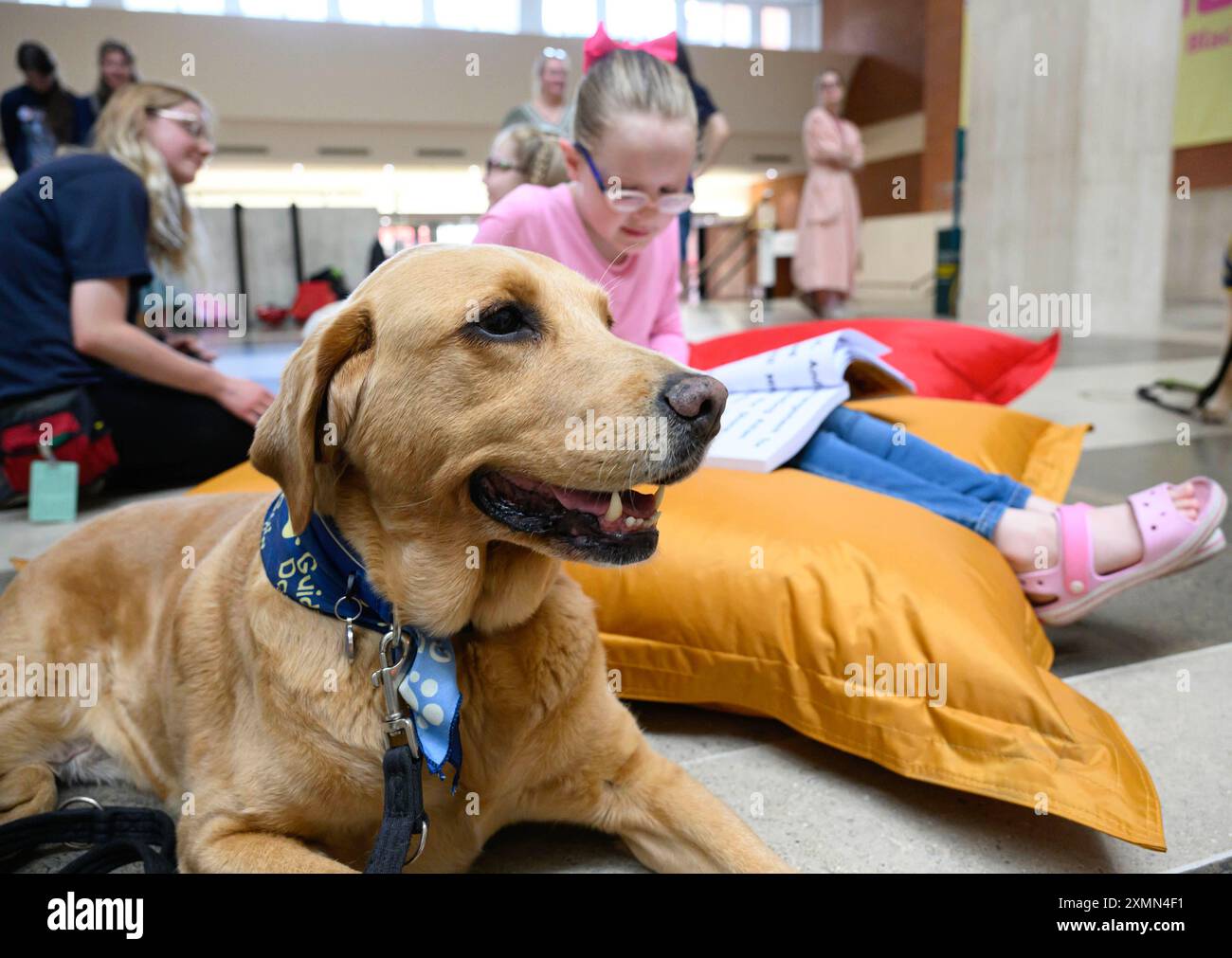 EDITORIAL USE ONLY Imogen, aged six, reads to Labrador Felix at a ...