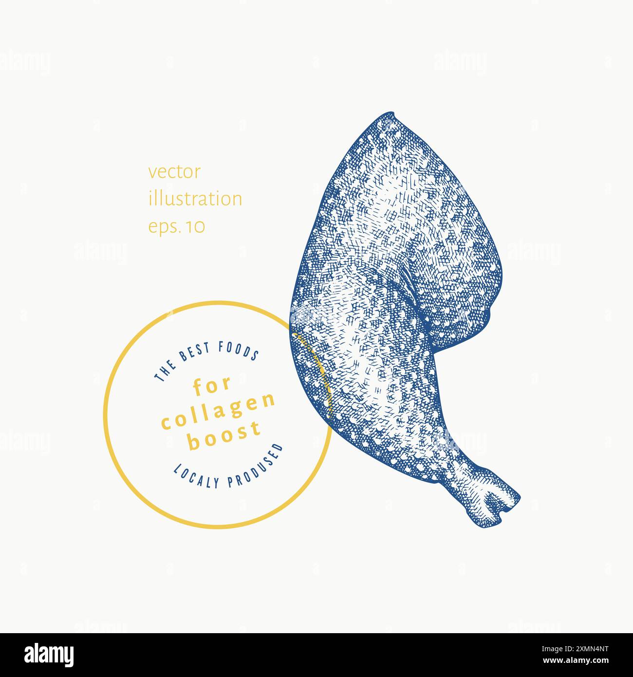 Vector Hand Drawn Chicken Leg Illustration. Collagen Diet Food ...
