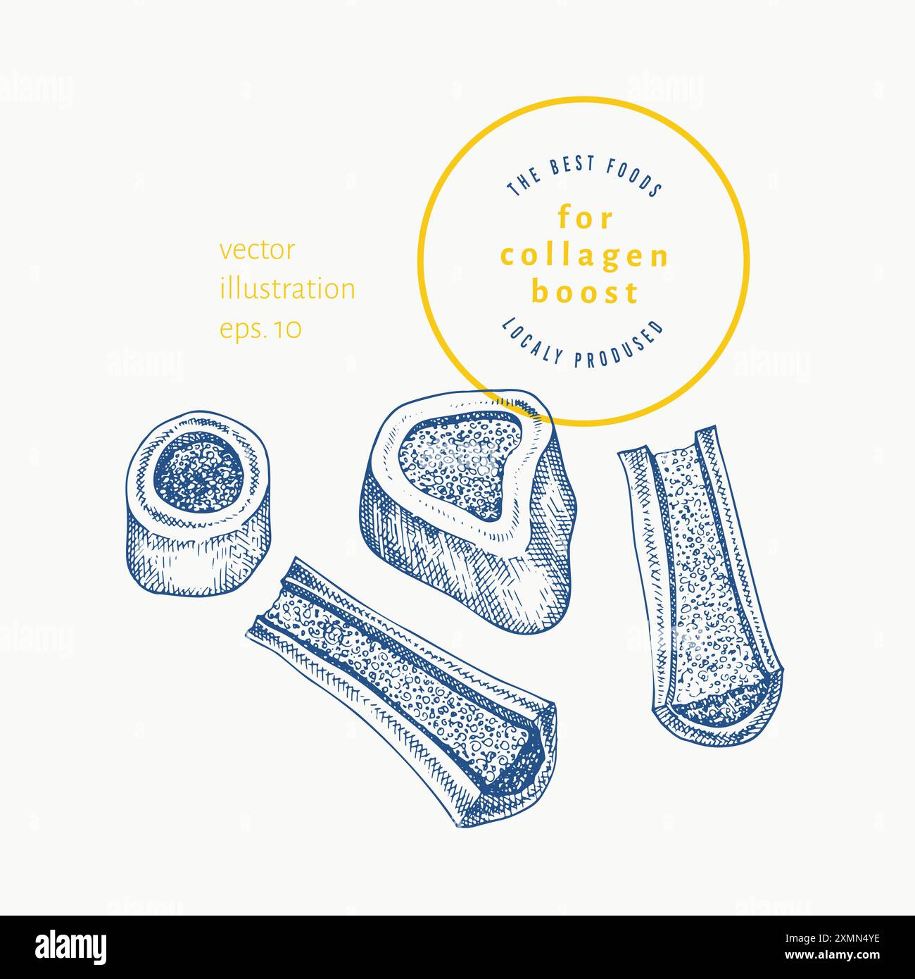 Vector Hand Drawn Marrow Bones Illustration. Collagen Diet Food ...