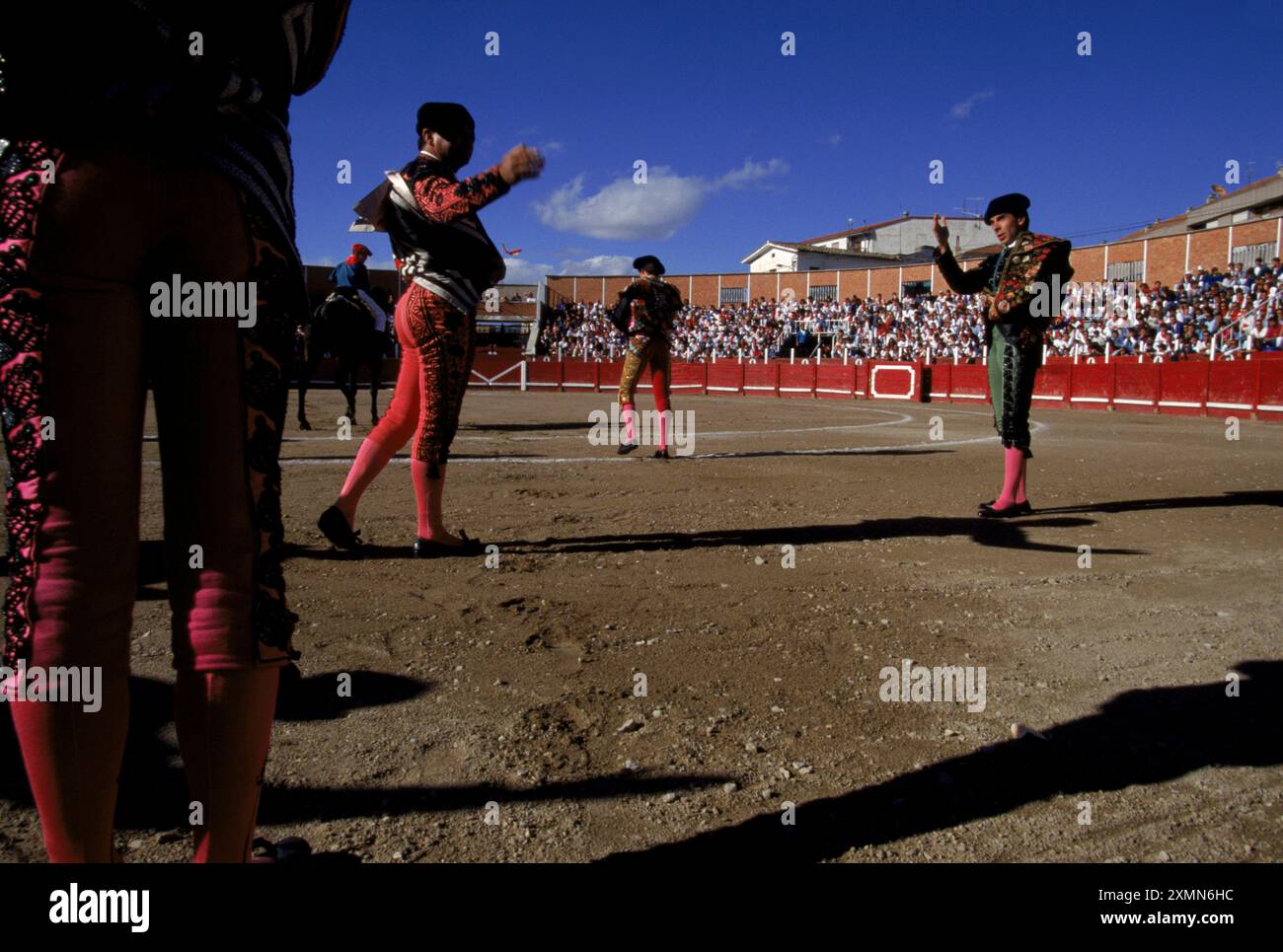Scene from a bullfight, Sanguessa, Spain Stock Photo - Alamy