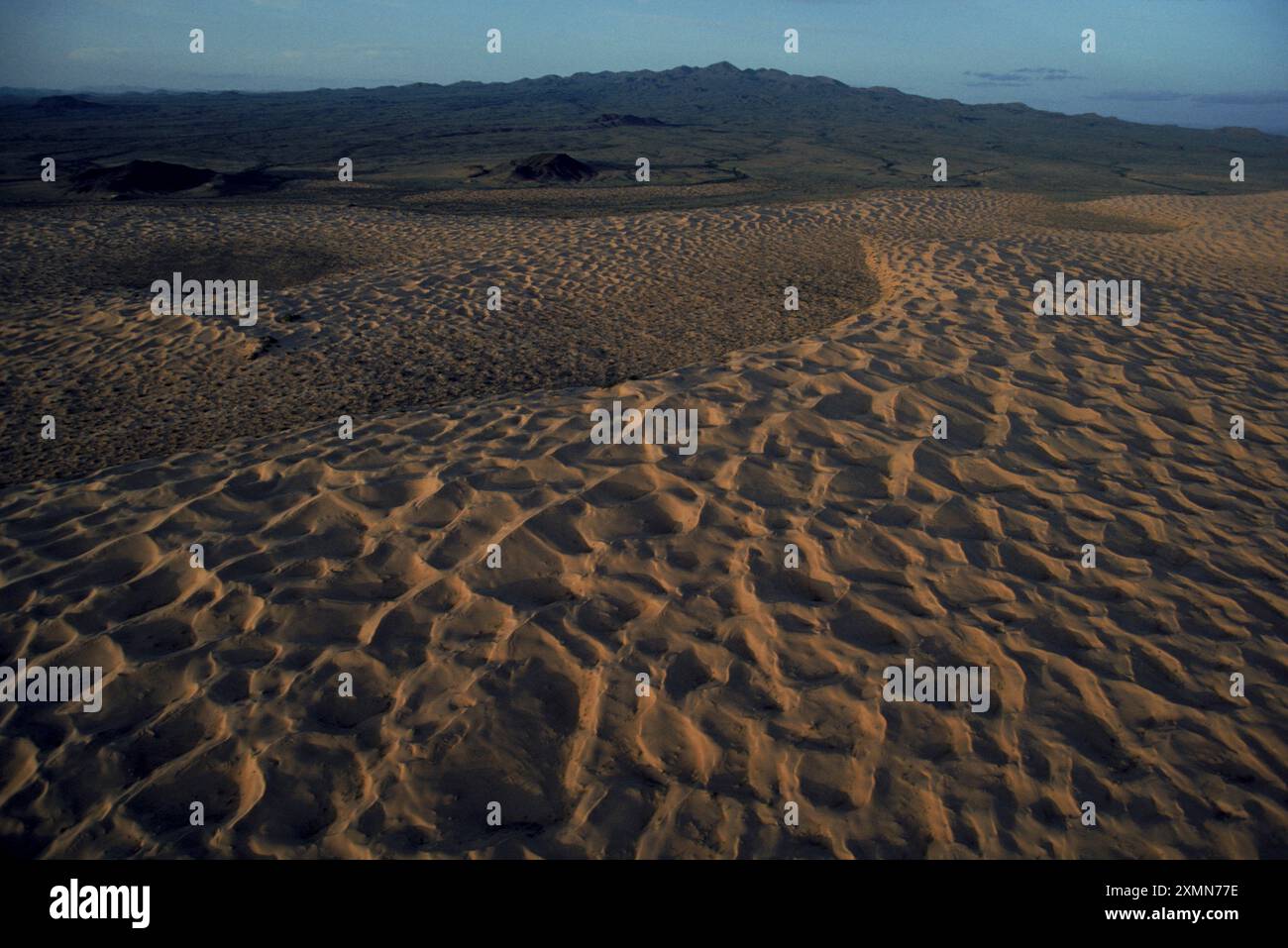 Sand Dunes in the Sonoran Desert, Mexico, Central America Stock Photo ...