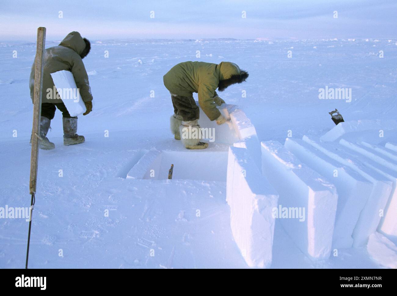 Building an igloo, Nunavut, Canada Stock Photo - Alamy