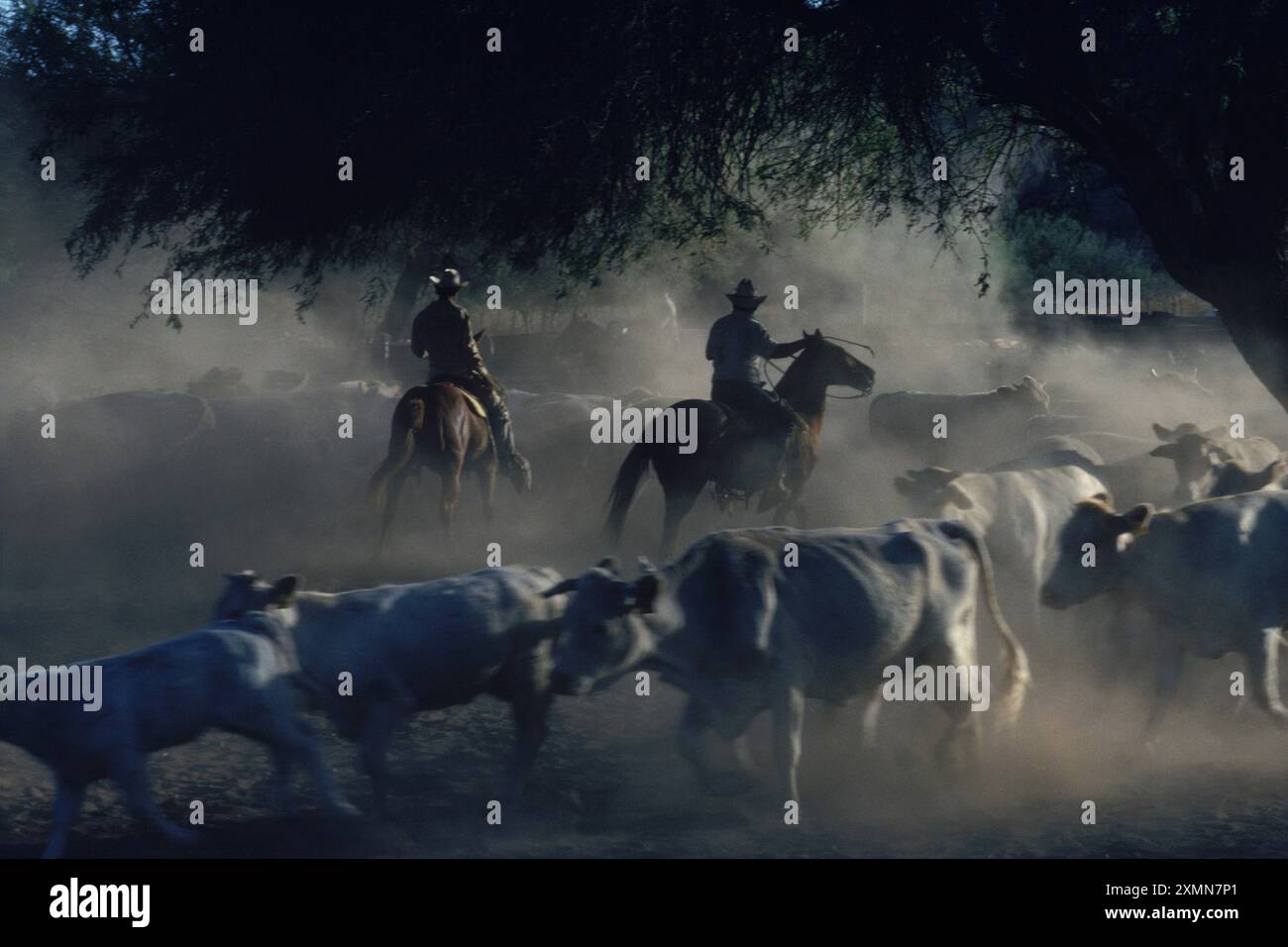 Mexico farms hi-res stock photography and images - Alamy