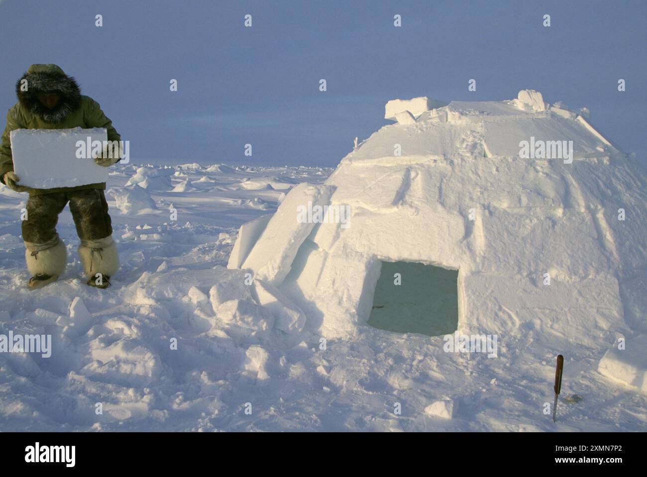 Building an igloo, Nunavut, Canada Stock Photo - Alamy