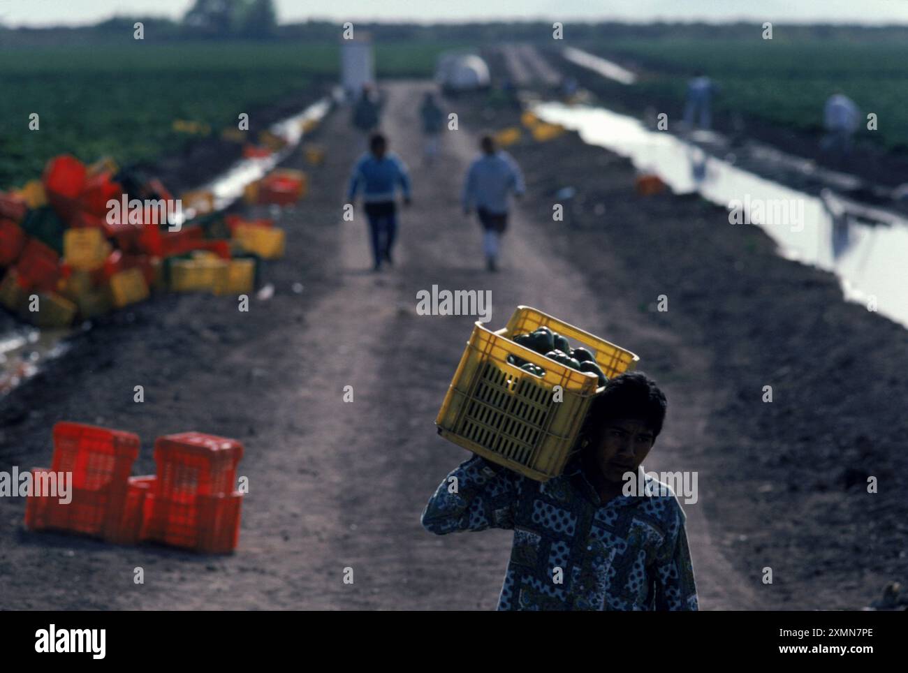 Migrant Workers, Obregon, Mexico Stock Photo - Alamy