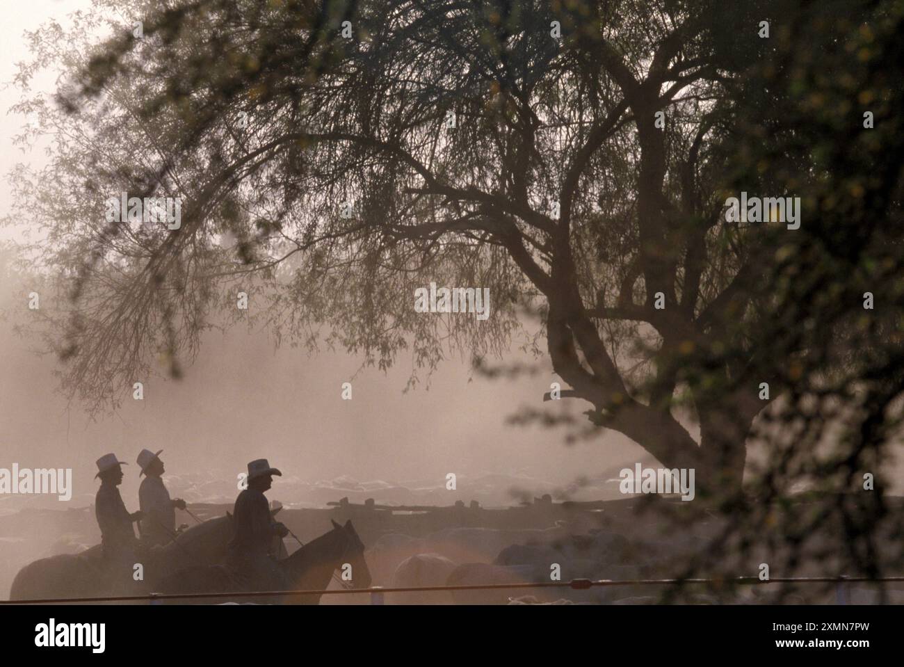 Obregon mexico hi-res stock photography and images - Alamy