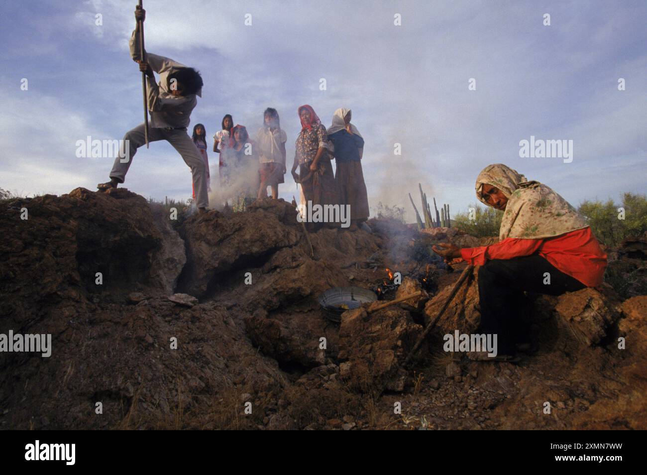 Seri Indians honey hunting, Puenta Chueca, Mexico Stock Photo - Alamy