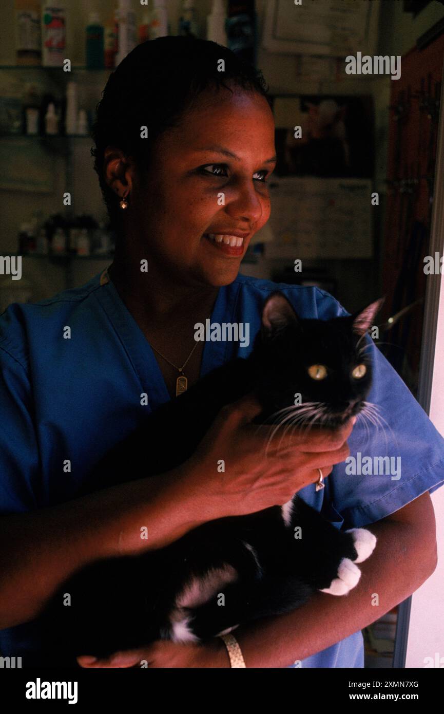 Cat and Vet Stock Photo - Alamy