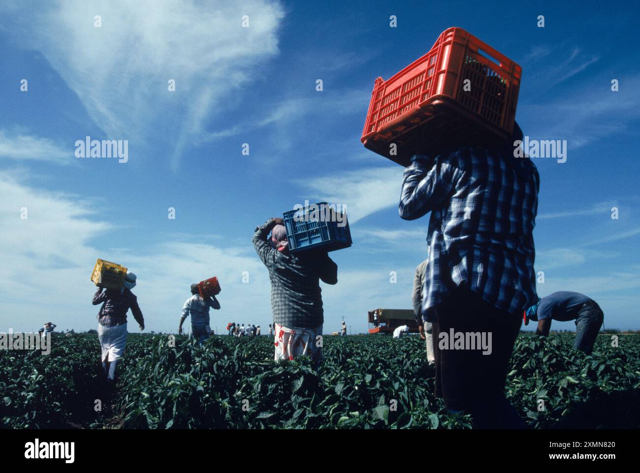 Migrant farmers america hi-res stock photography and images - Alamy