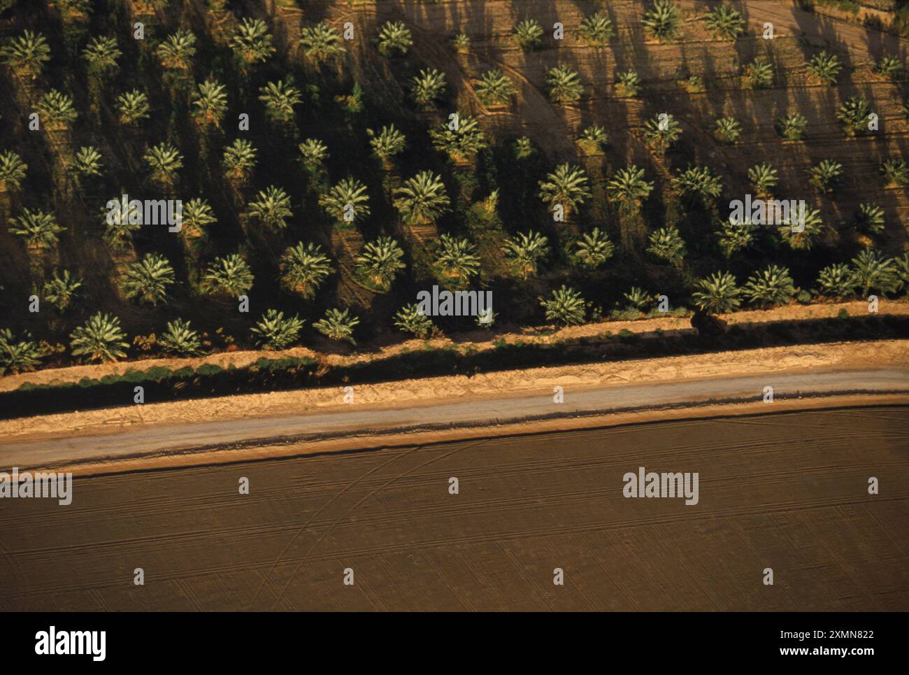 Arizona aerial agriculture hi-res stock photography and images - Alamy