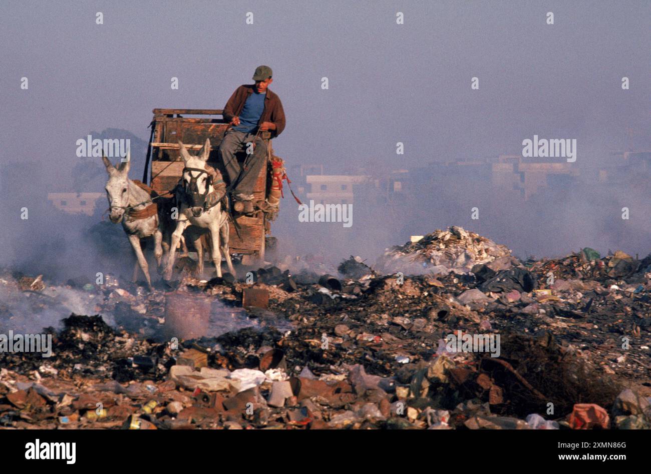 Garbage Collectors, Cairo, Egypt Stock Photo - Alamy