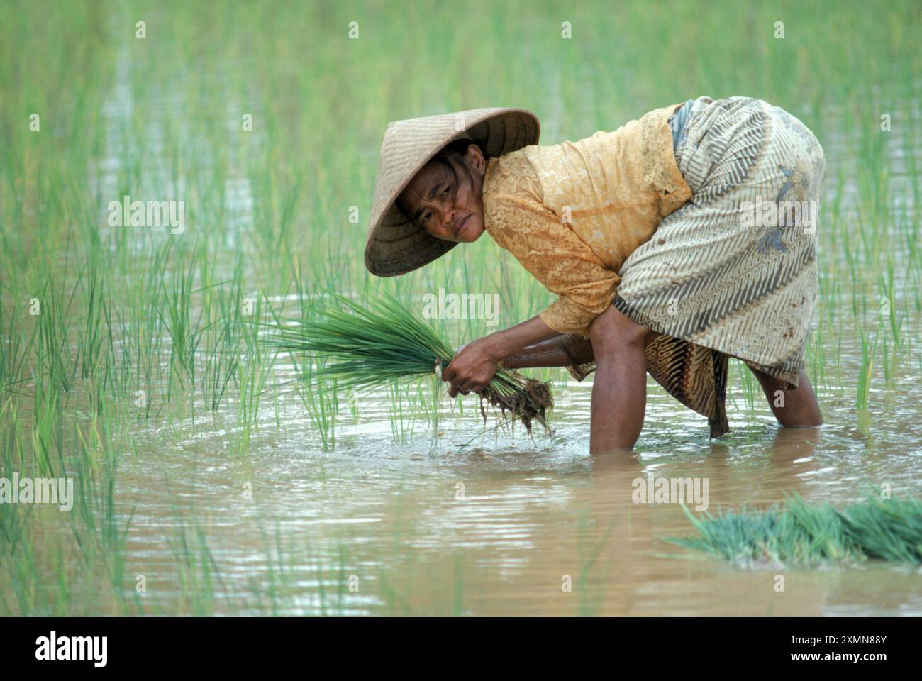 Joanna bending hi-res stock photography and images - Alamy