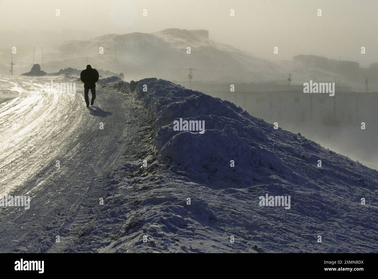 A rear view of a man walking lonely on a path, Nunavut, Canada Stock ...