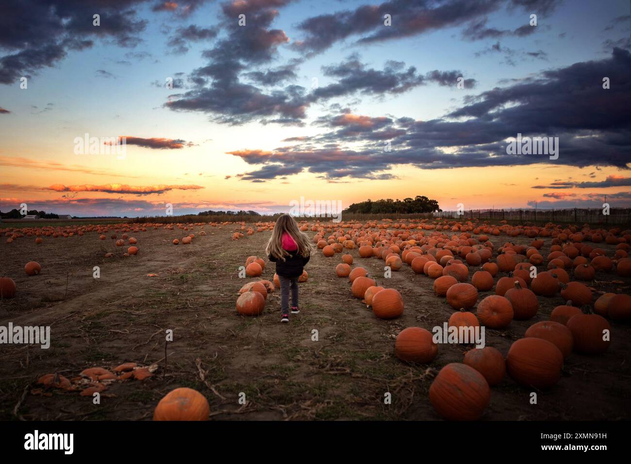 Walking through the farm hi-res stock photography and images - Alamy