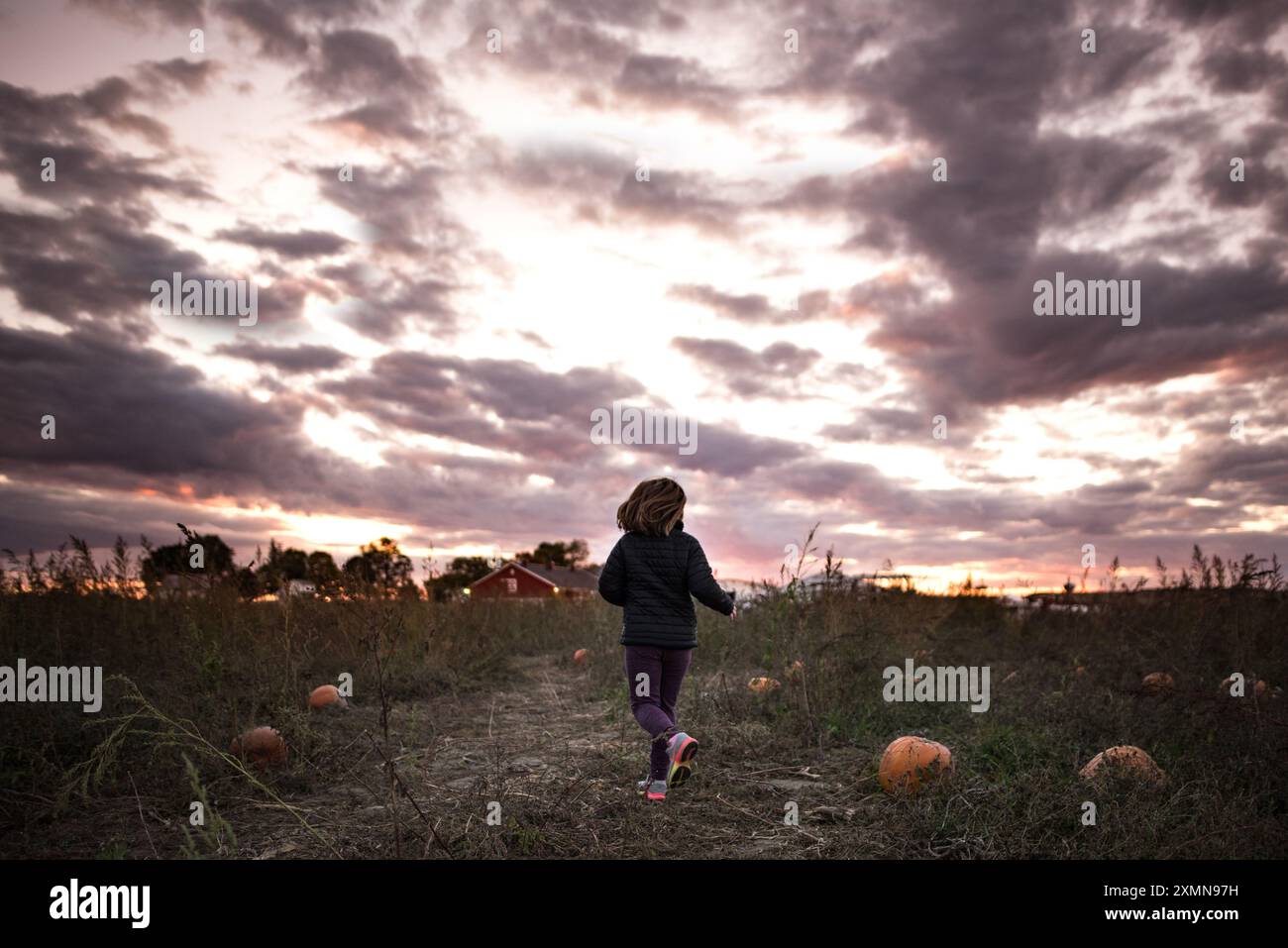 Child running through the field hi-res stock photography and images - Alamy