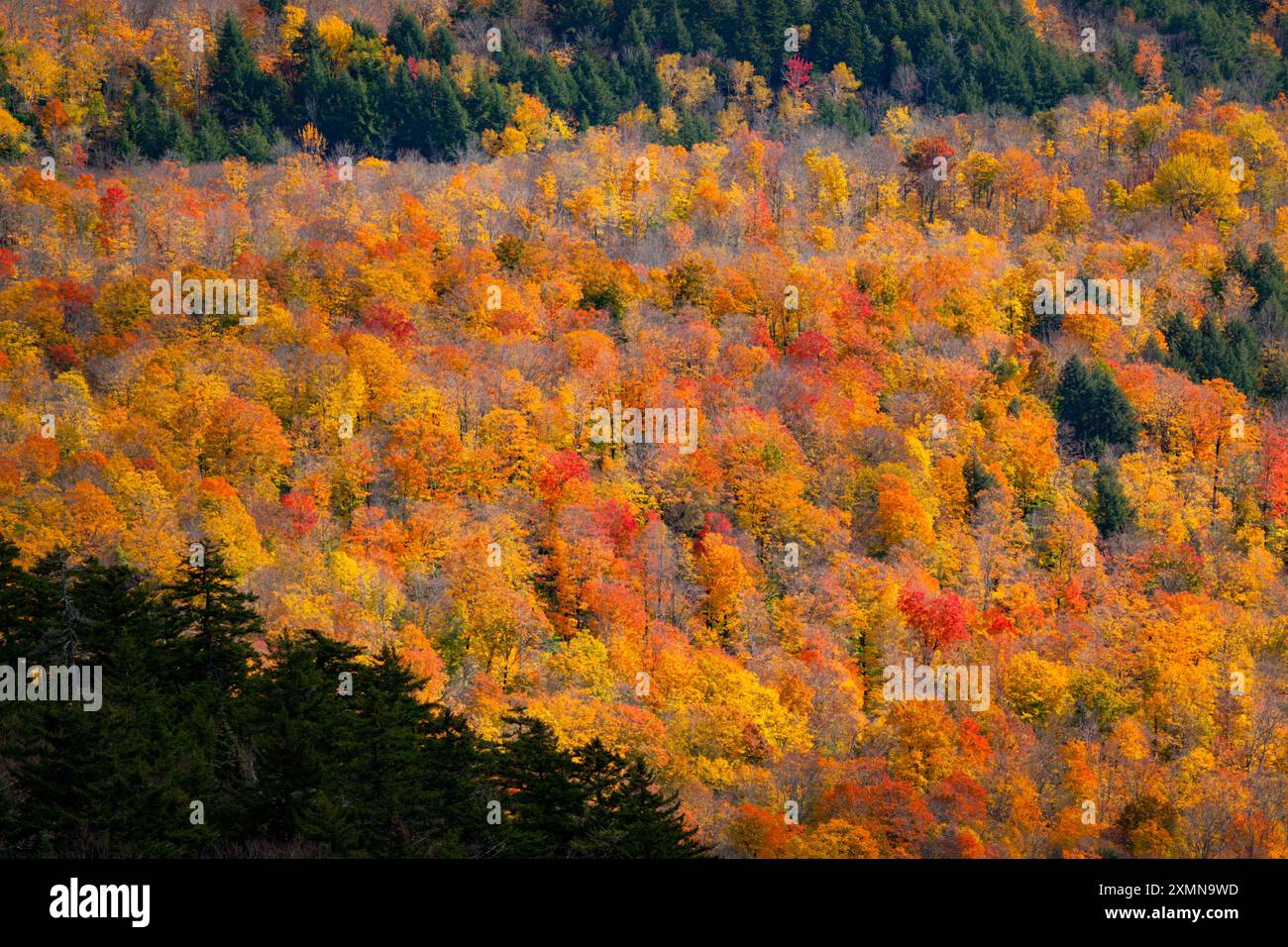 Fall Colors In Vermont Mountains Stock Photo - Alamy