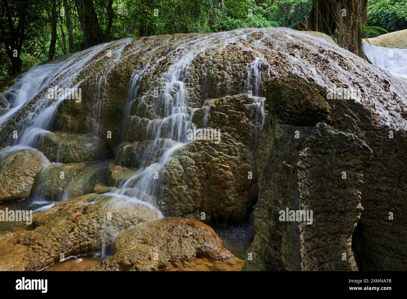 Wet season forest view hi-res stock photography and images - Alamy