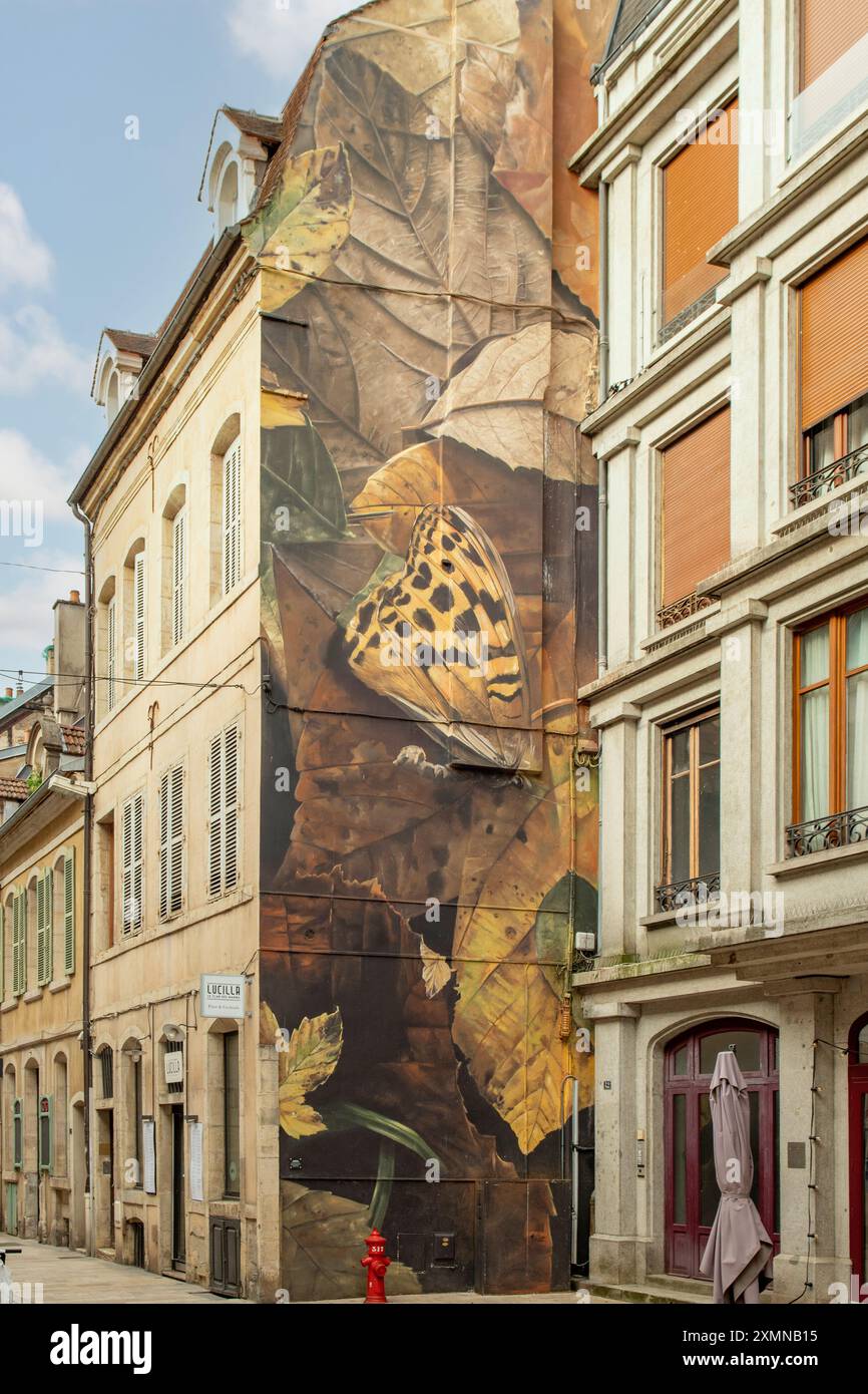 Street Art by Mantra in Dijon, Bourgogne, France Stock Photo - Alamy