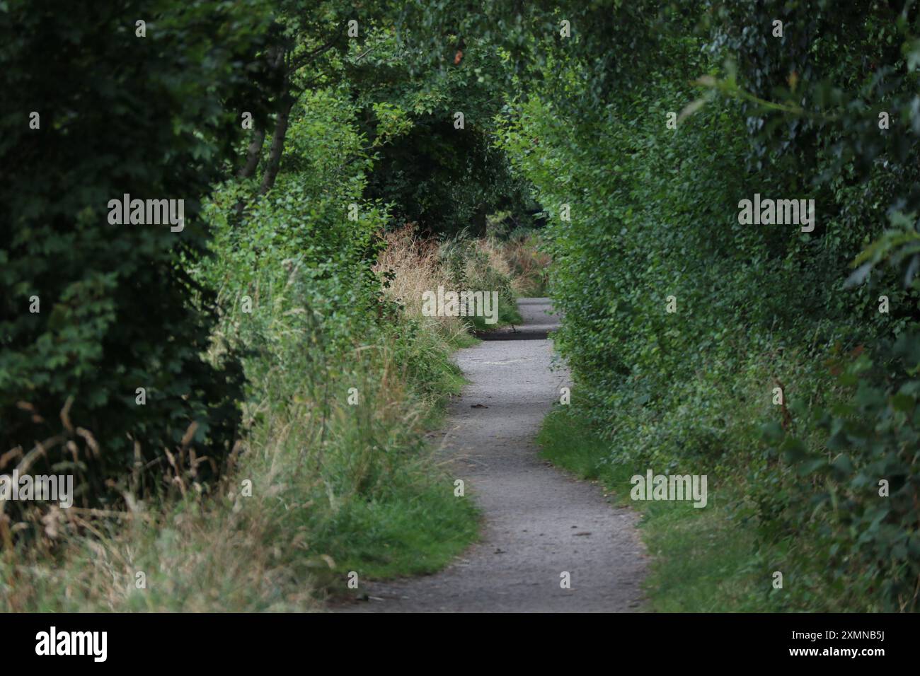 Narural arch hi-res stock photography and images - Alamy
