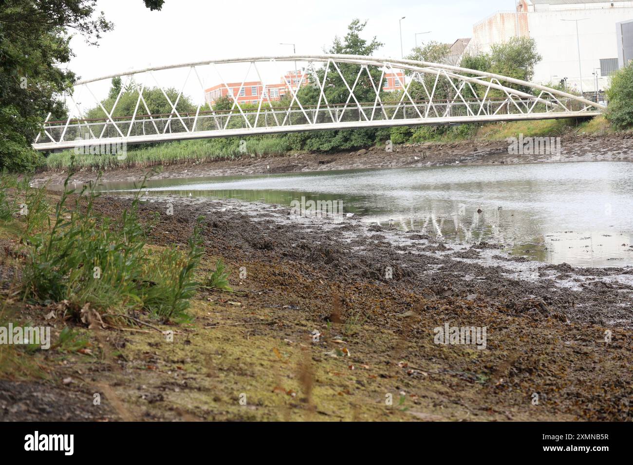 Sam Thompson bridge in Victoria Park Belfast Stock Photo - Alamy
