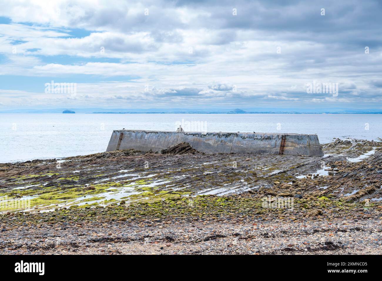 The distinctive lichen covered rocks that form part of the ancient sea ...