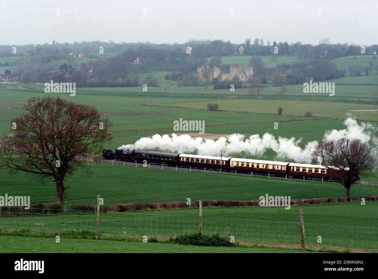Steam train passing Corfe Castle in Dorset on a special excursion in ...
