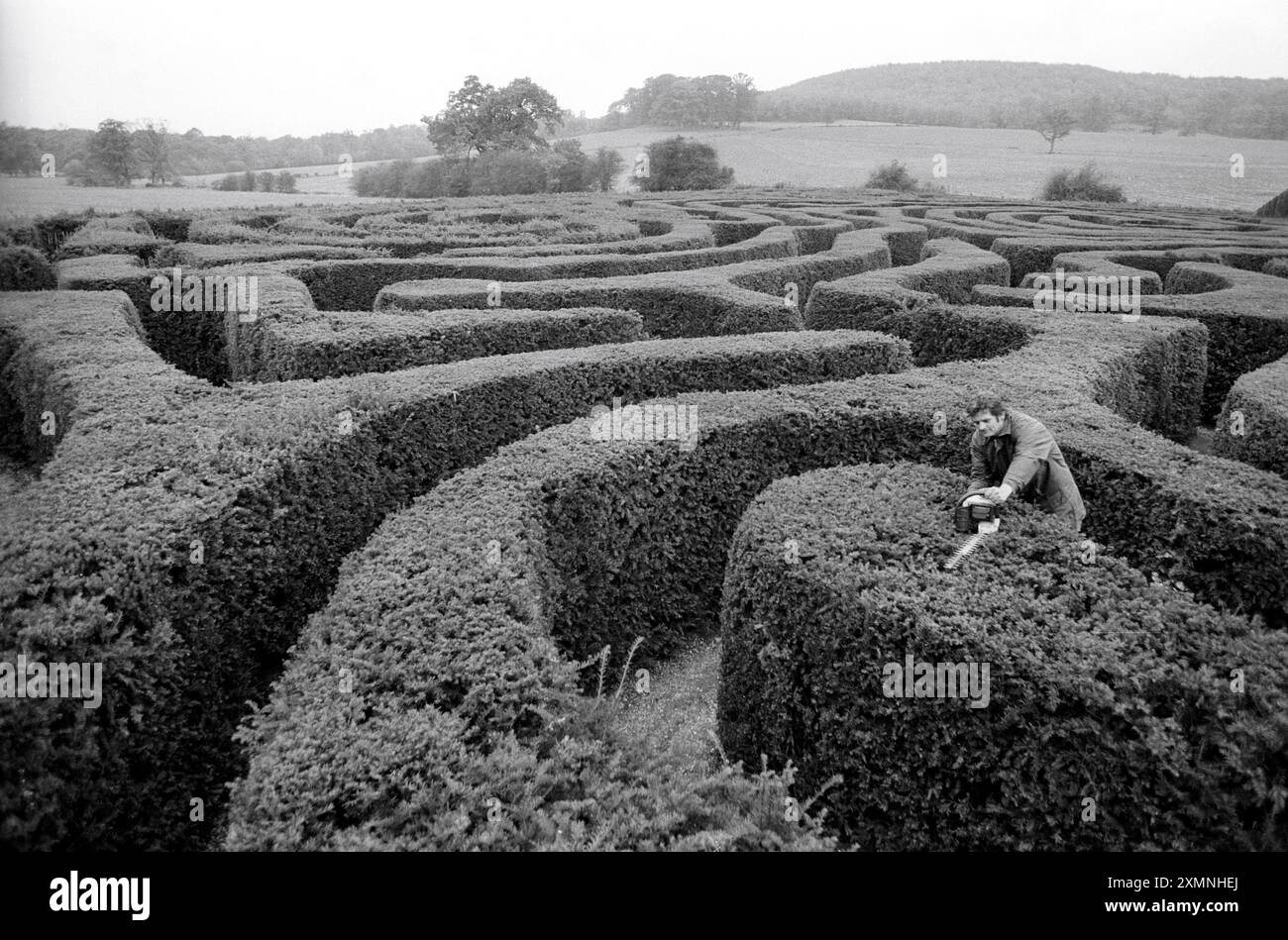 Hedge maze longleat hi-res stock photography and images - Alamy