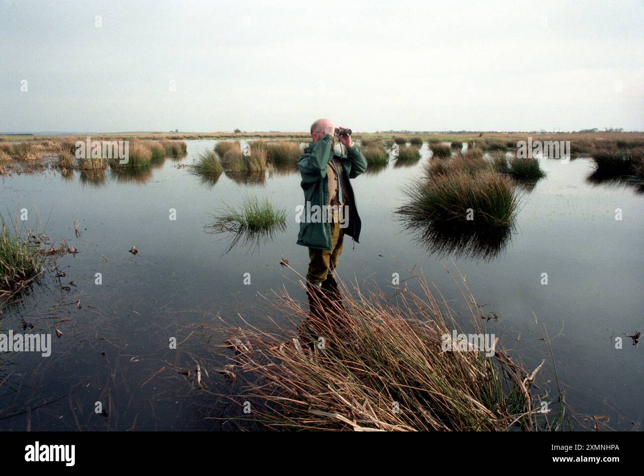 Pevensey levels hi-res stock photography and images - Alamy