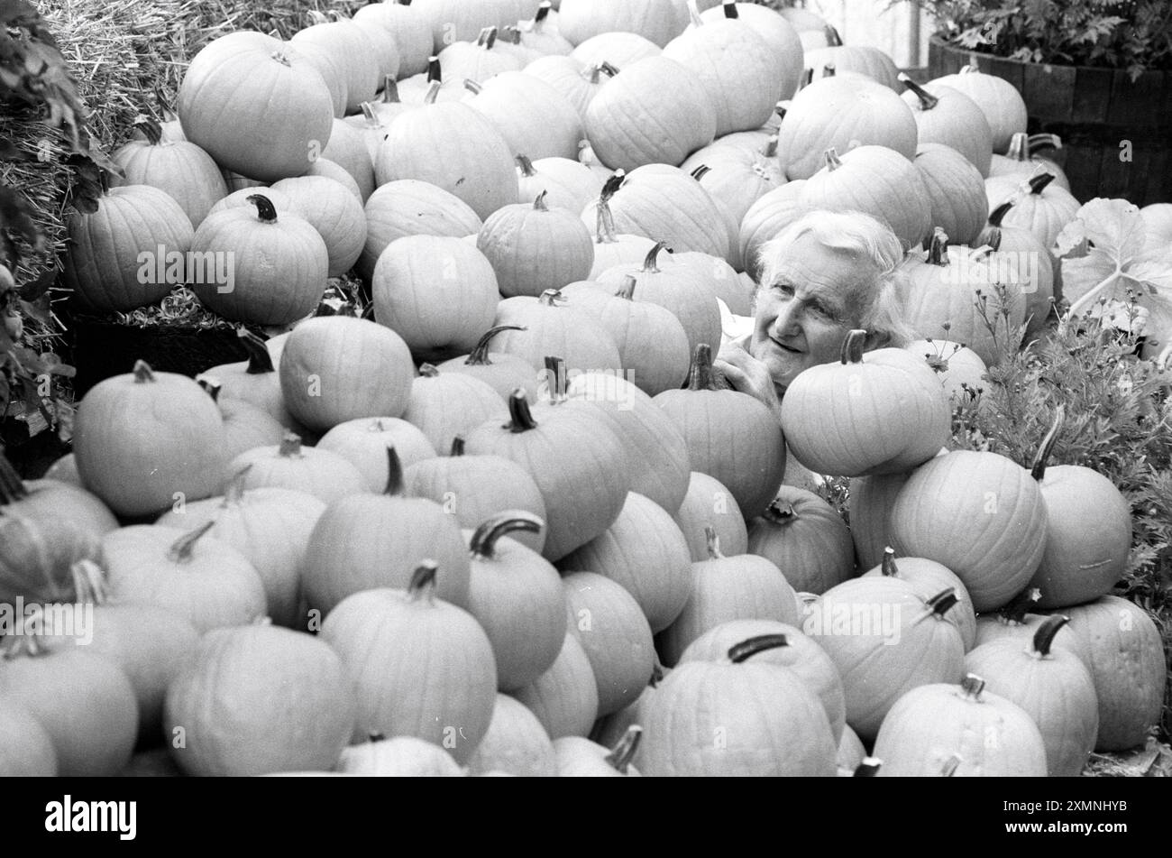 Man roger bamber hi-res stock photography and images - Alamy