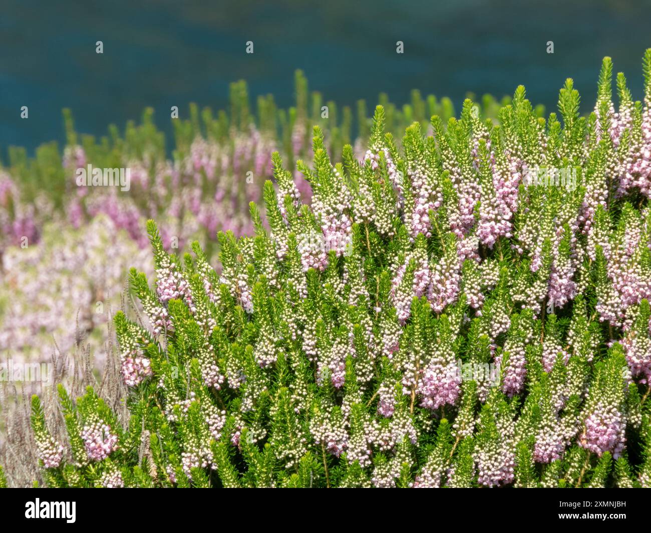 Puerto de cornish hi-res stock photography and images - Alamy
