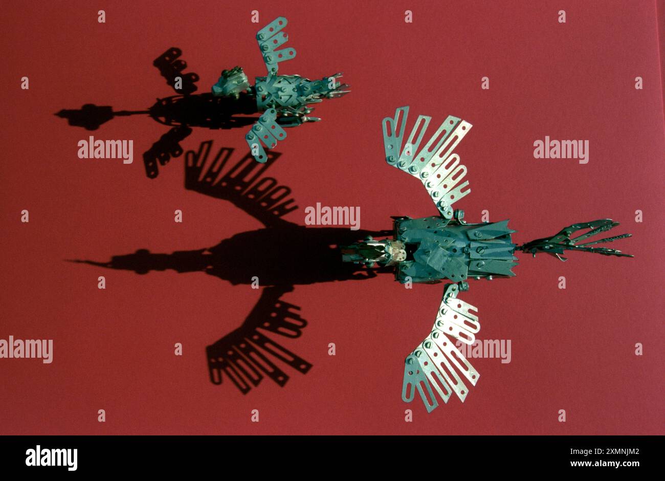 Dance roger bamber hi-res stock photography and images - Alamy