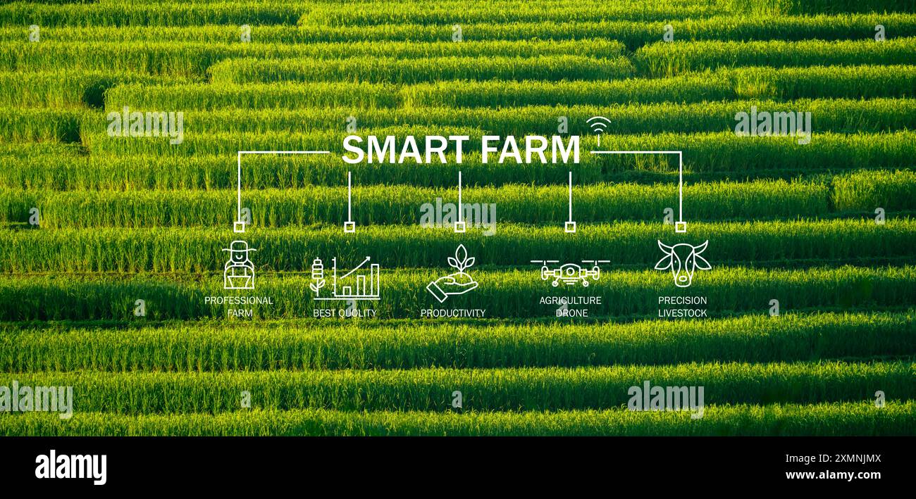 Cutting-edge smart farm technology meets professional expertise ...