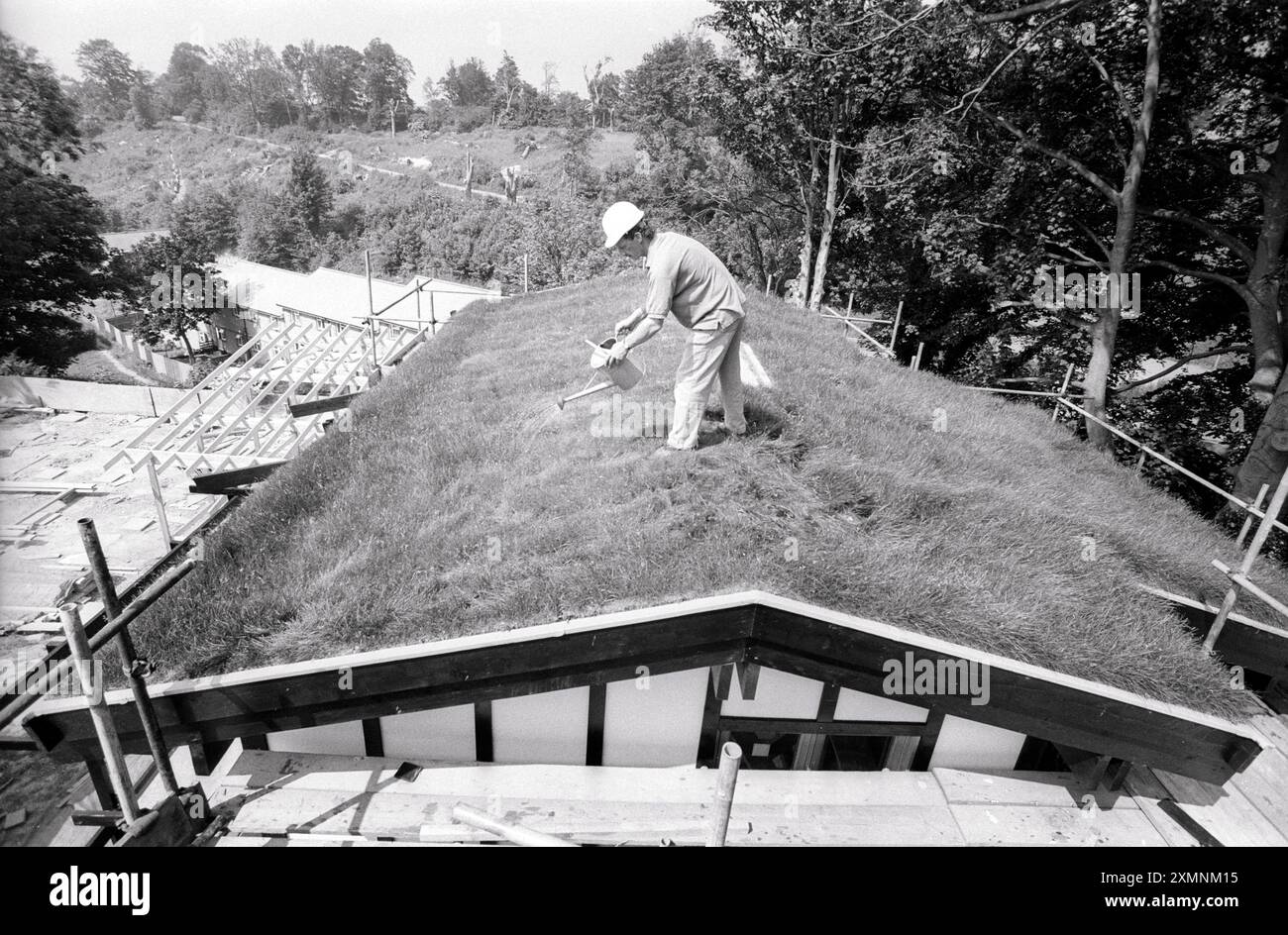 Grass Roofs 8 June 1993 Picture by Roger Bamber Stock Photo - Alamy