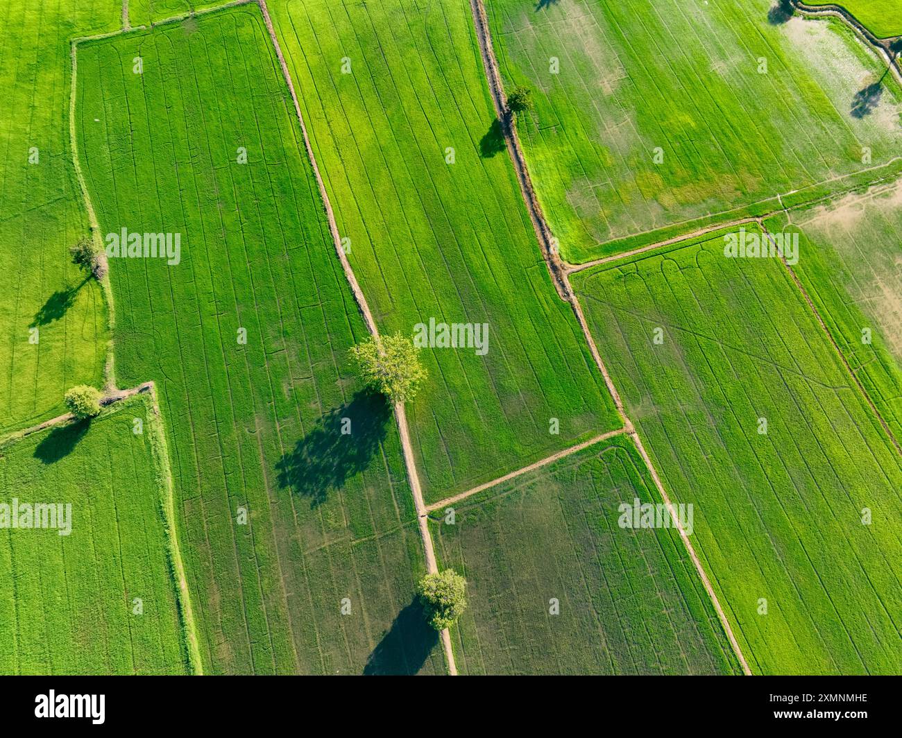 Sustainable development asia hi-res stock photography and images - Alamy