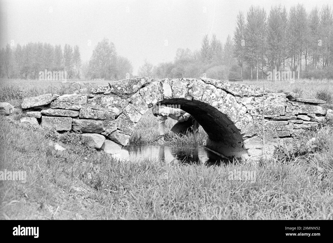 Sherborne's Windrush Water Meadow In the early 1990s that the National ...