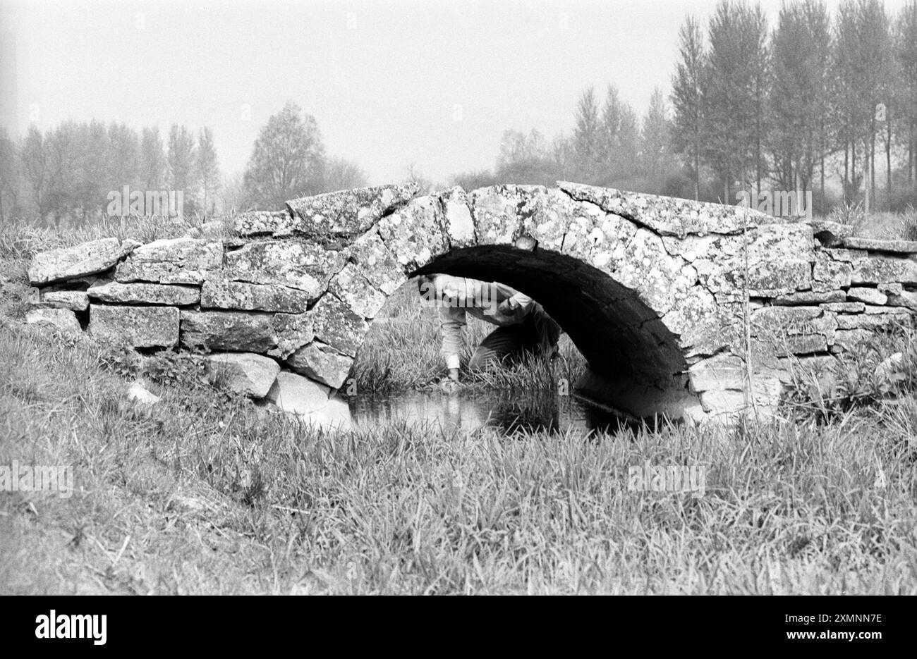 Sherborne's Windrush Water Meadow In the early 1990s that the National ...