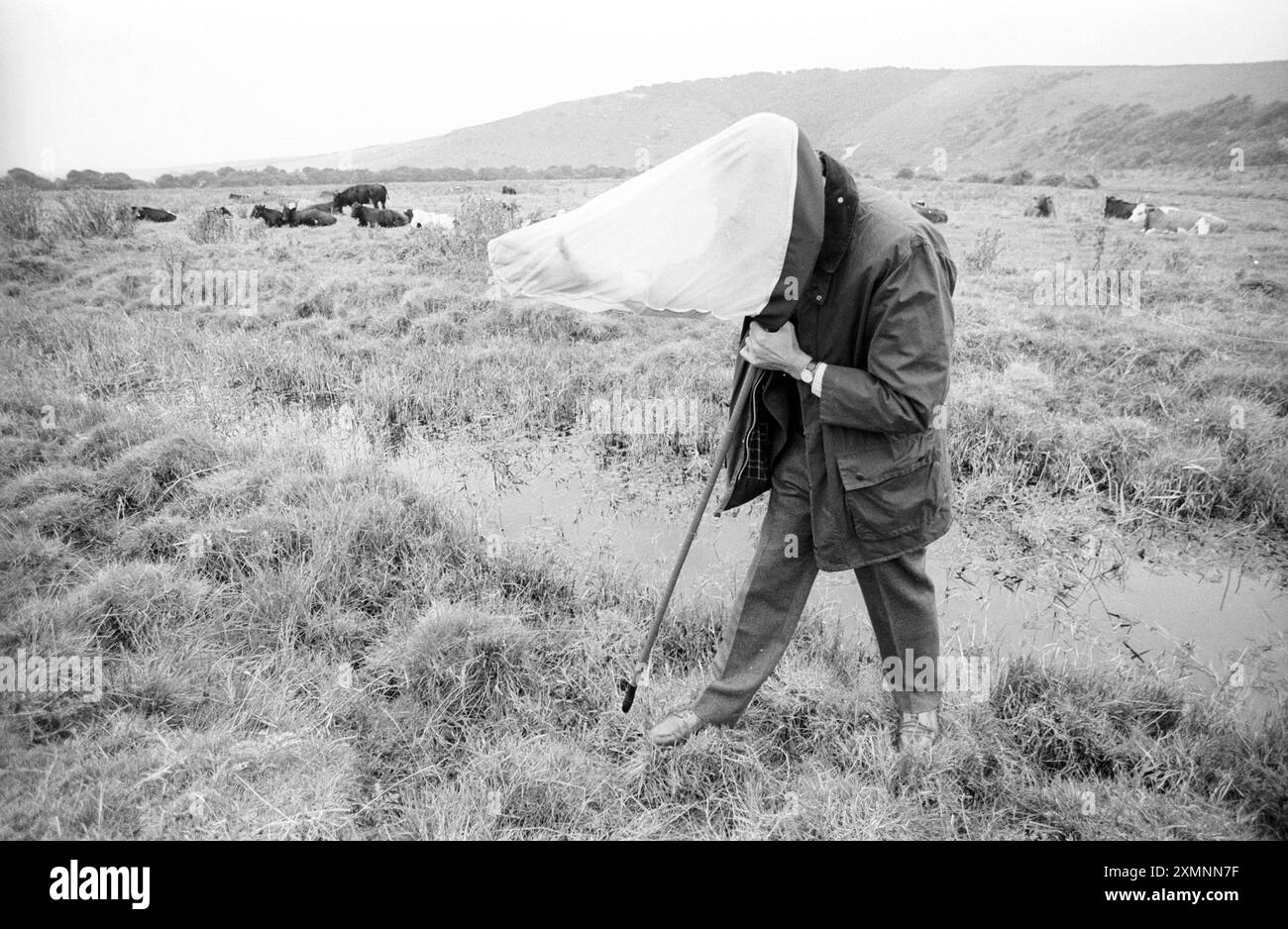 Angus Stirling, director general of the National Trust , at Frog Firle ...