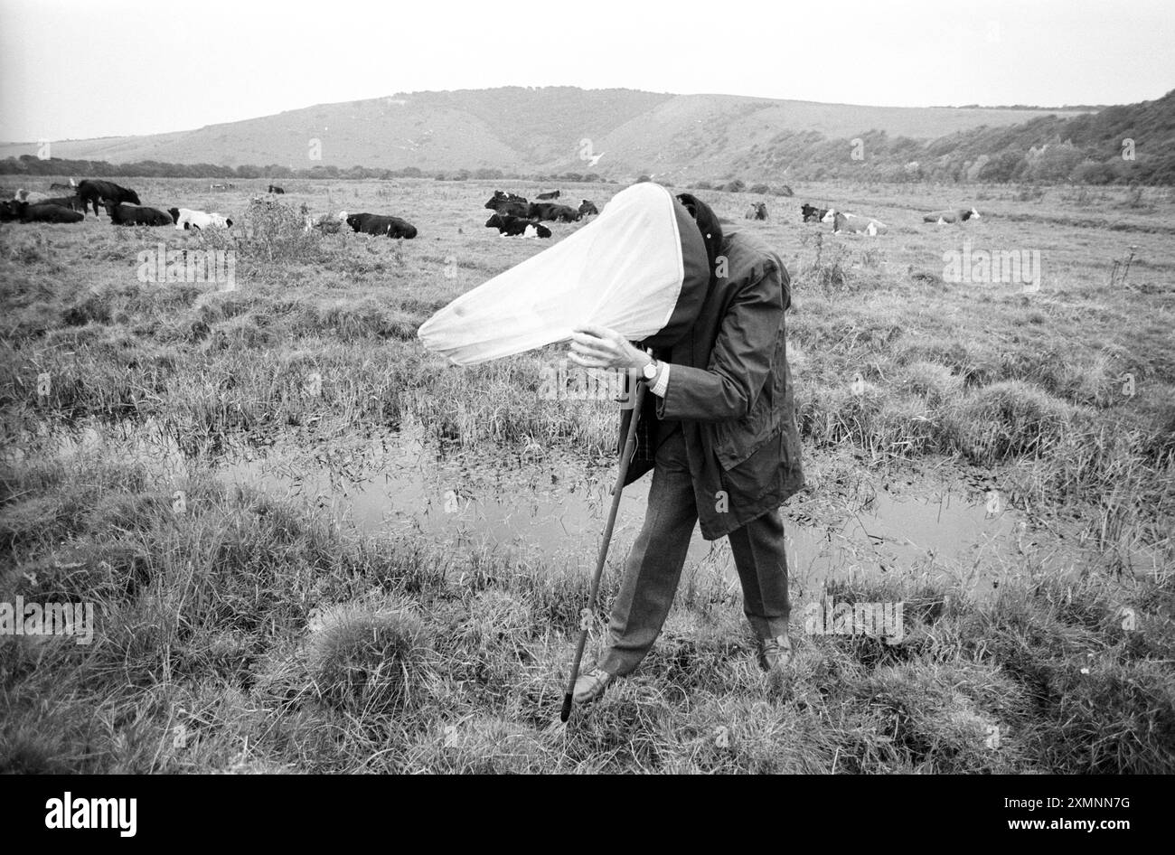 Angus Stirling, director general of the National Trust , at Frog Firle ...