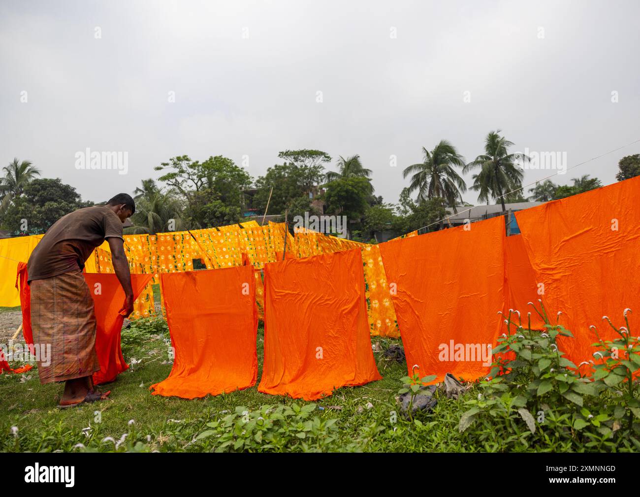 Bangladeshi worker hanging orange fabrics under the sun, Dhaka Division ...